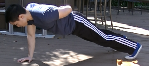 The Push-up - Tutorials and Progressions - Roam Strong